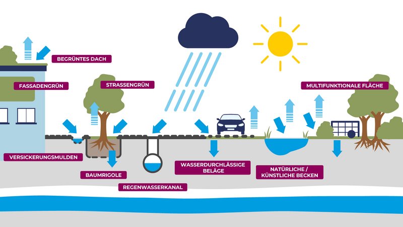 Juli: Wasserverband Strausberg-Erkner